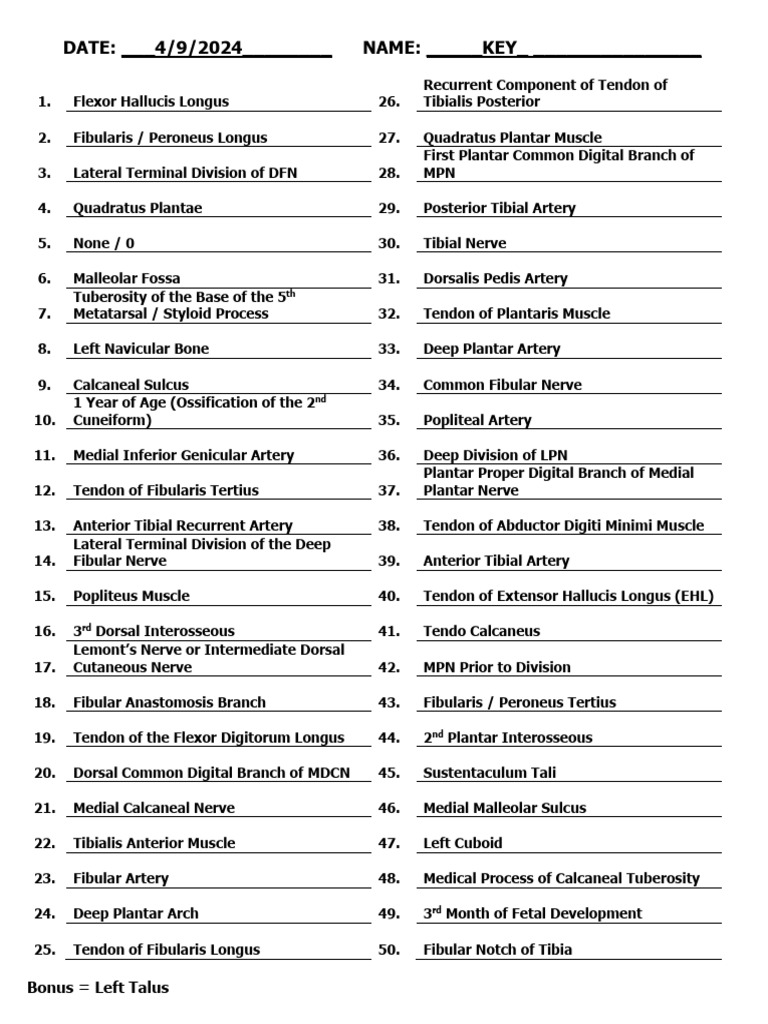 LEAMidterm Lab Key 2024 | PDF | Social Science