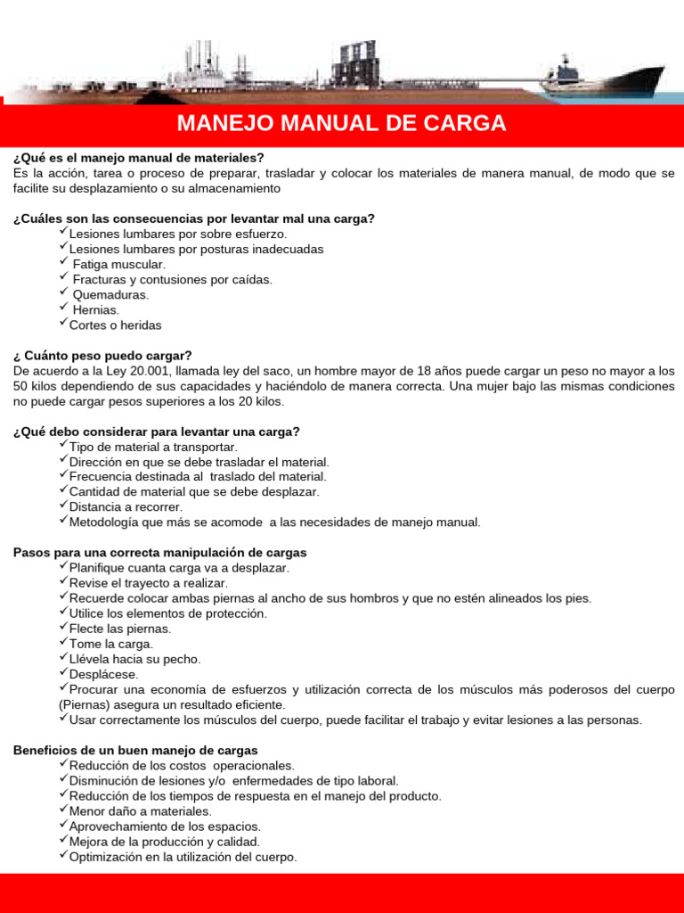 Manejo Manual de Carga | PDF