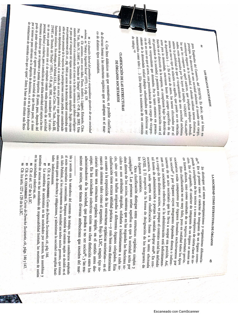 Clasif Estruc Orgs Societarios | PDF