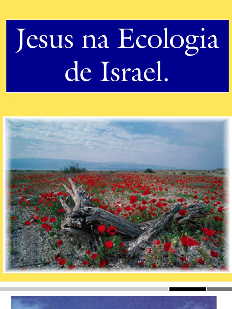 Jesus Na Ecologia de Israel | PDF | Linho | Azeitona