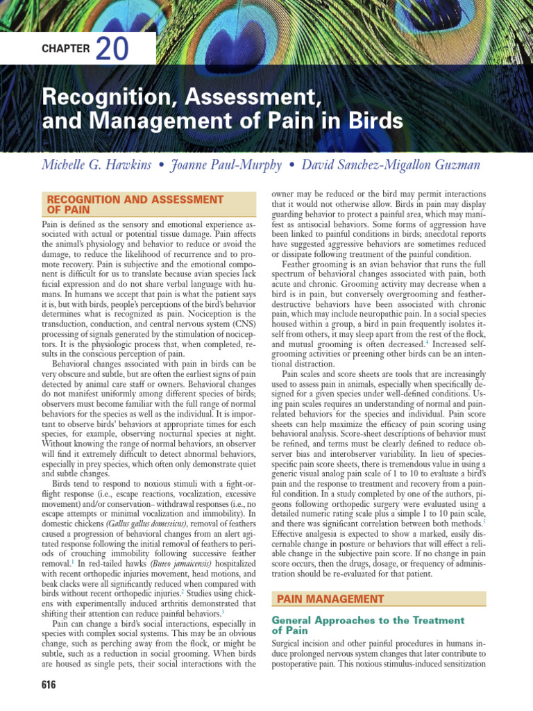 Recognition, Assessment, and Management of Pain in Birds | PDF ...