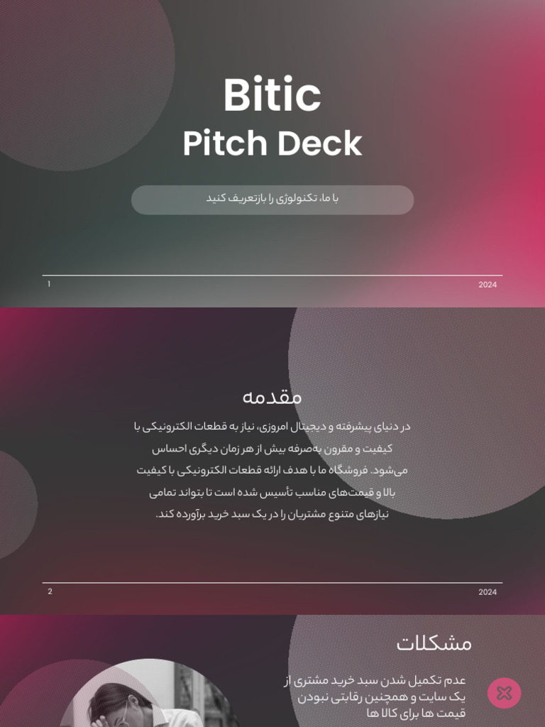 Bitic Pitch Deck | PDF
