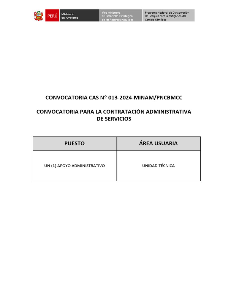 Convocatoria CAS 013-2024 para Apoyo Administrativo | PDF | Educación ...