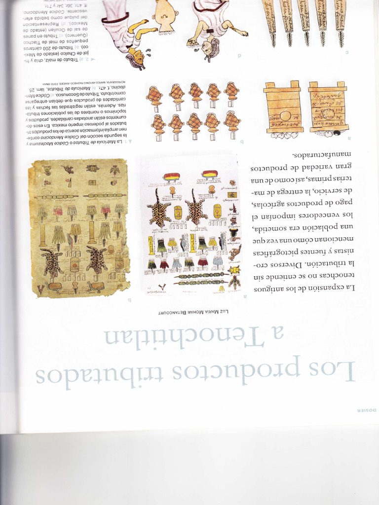 AAVV Tributo 02 | PDF