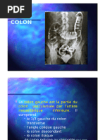 Anatomie chirurgicale du colon humain | PDF | Gros intestin | Anatomie