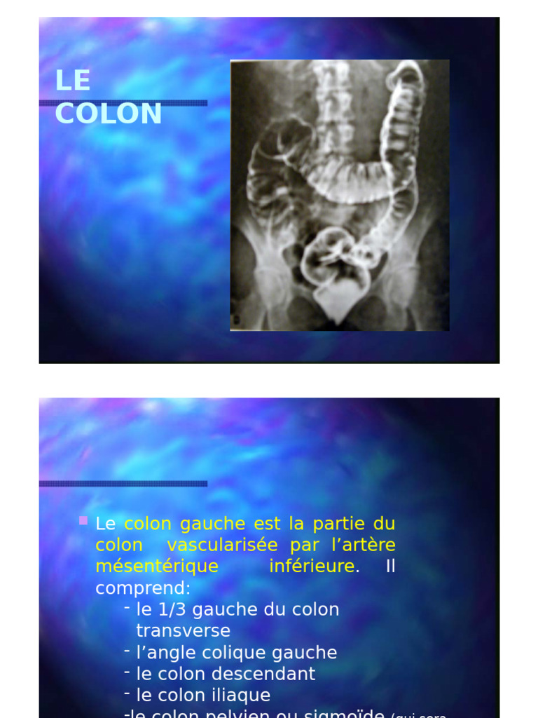 Côlon | PDF | Gros intestin | Péritoine