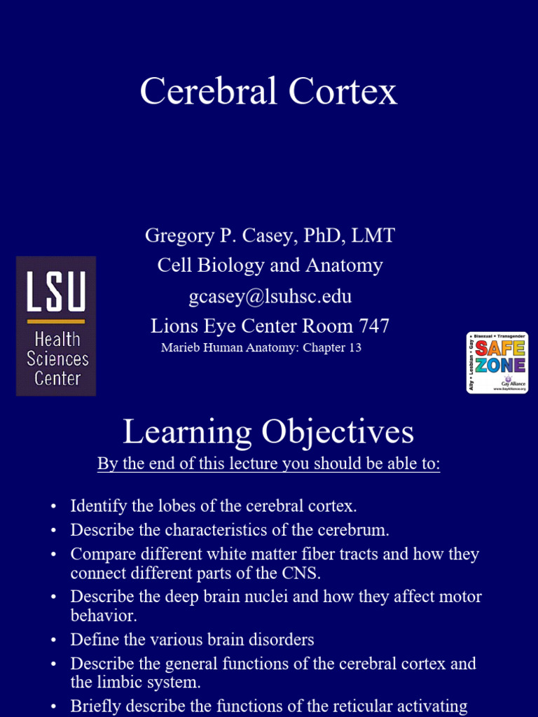 Cerebral Cortex | PDF | Cerebral Cortex | Basal Ganglia