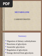 CARBOHYDRATE METABOLISM Power Point Lecture Notes | PDF | Diet ...