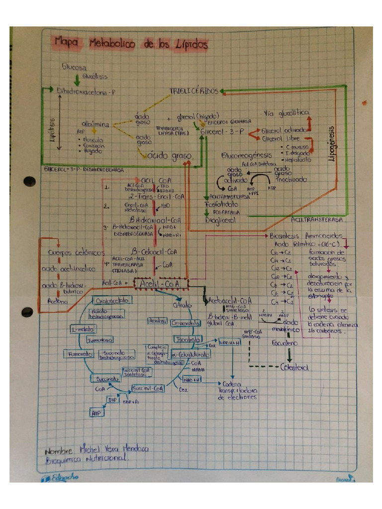 3A Tarea5 MichelVera | PDF