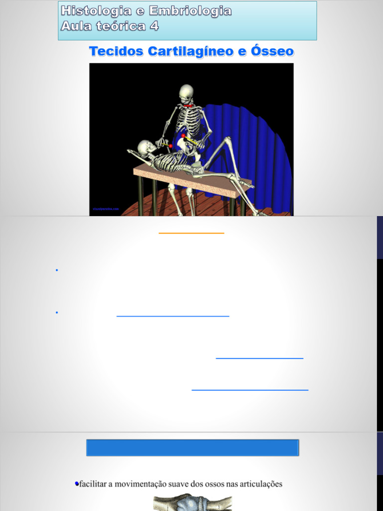 Aula 4 - Cartilagem e Osso | PDF | Osso | Cartilagem