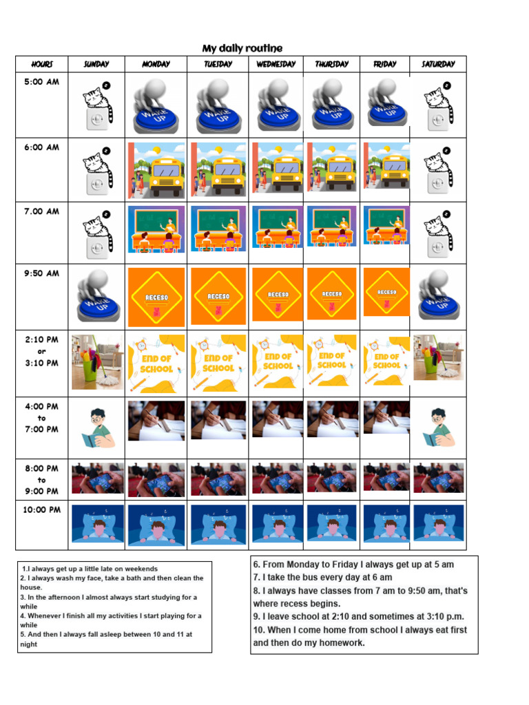 My Daily Routine | PDF