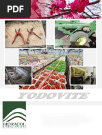 Desinfección Efectiva con Yodóforos | PDF | Ph | Agua