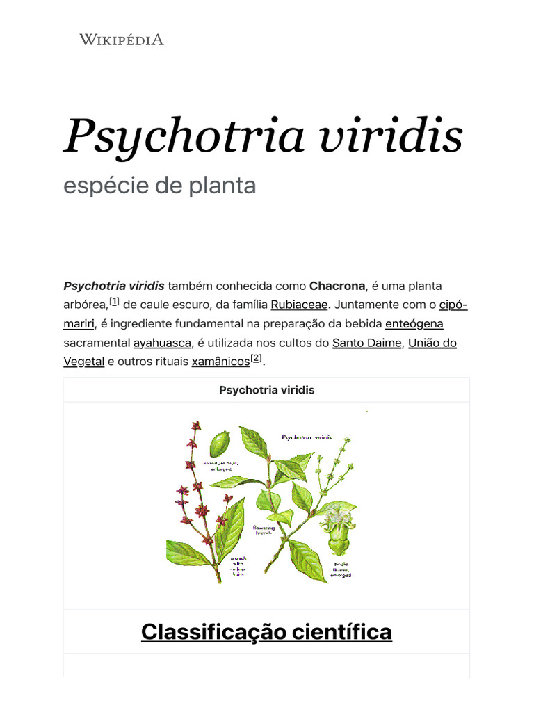 Psychotria Viridis - Wikipédia, A Enciclopédia Li | PDF | Etnobotânica ...