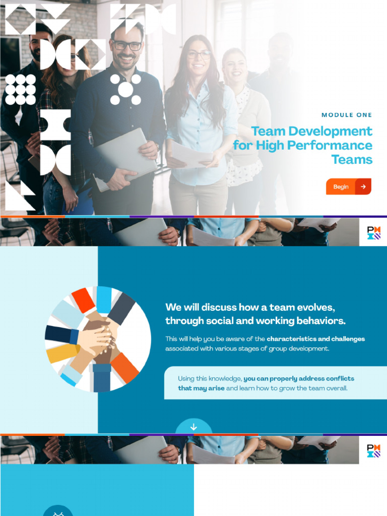 Course - PMI-DASSM™ | PDF