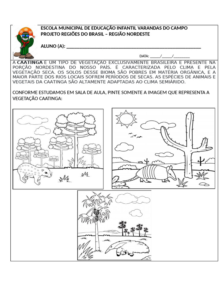 Descubra a Caatinga Nordestina | PDF | Ciências e Matemática | Tecnologia e Engenharia