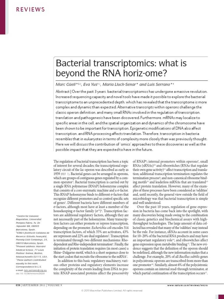 Bacterial Transcriptomics What Is Beyond The RNA Horiz-Ome | PDF ...