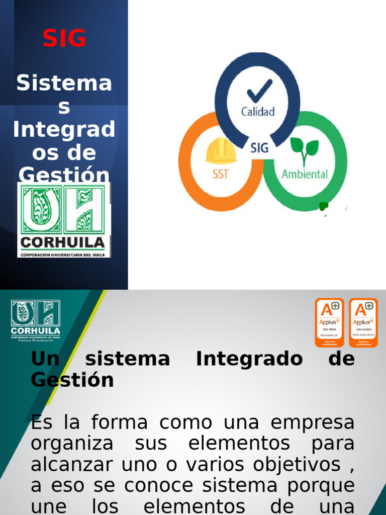 Sistema Integrados de Gestion | PDF | Sistema de manejo de calidad ...