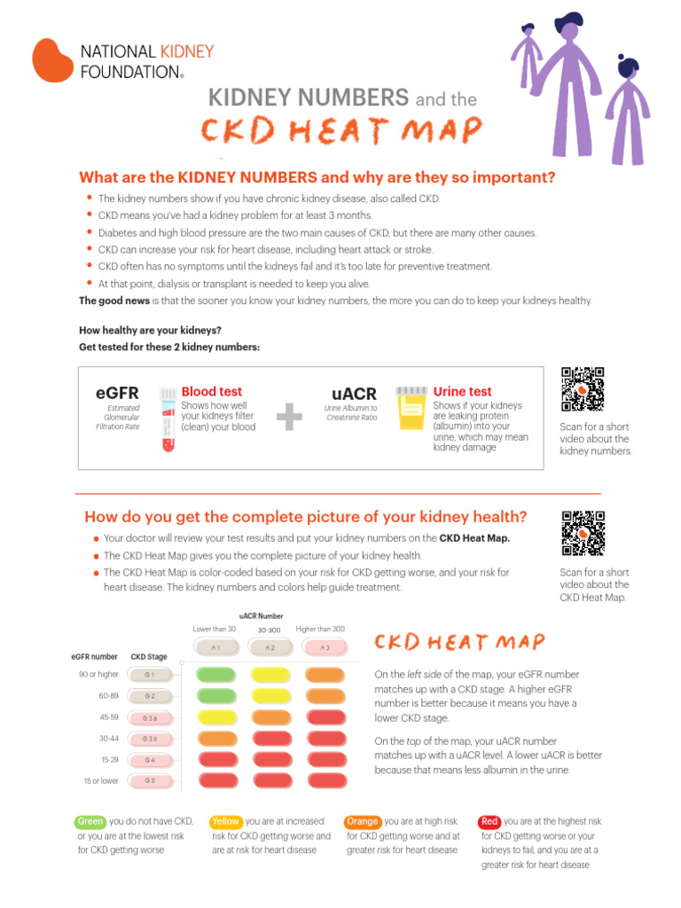 Kidney Numbers - CKD Heatmap | PDF | Chronic Kidney Disease | Urinary ...