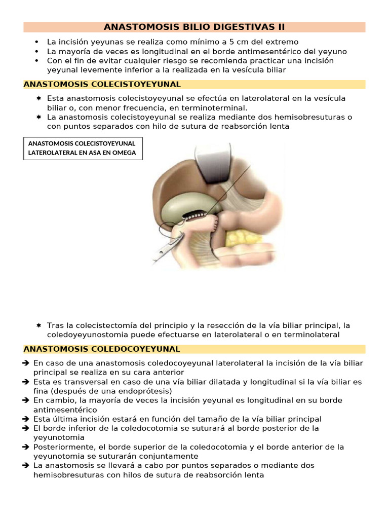 Anastomosis Bilio Digestivas Ii | PDF | Bilis | Sistema digestivo