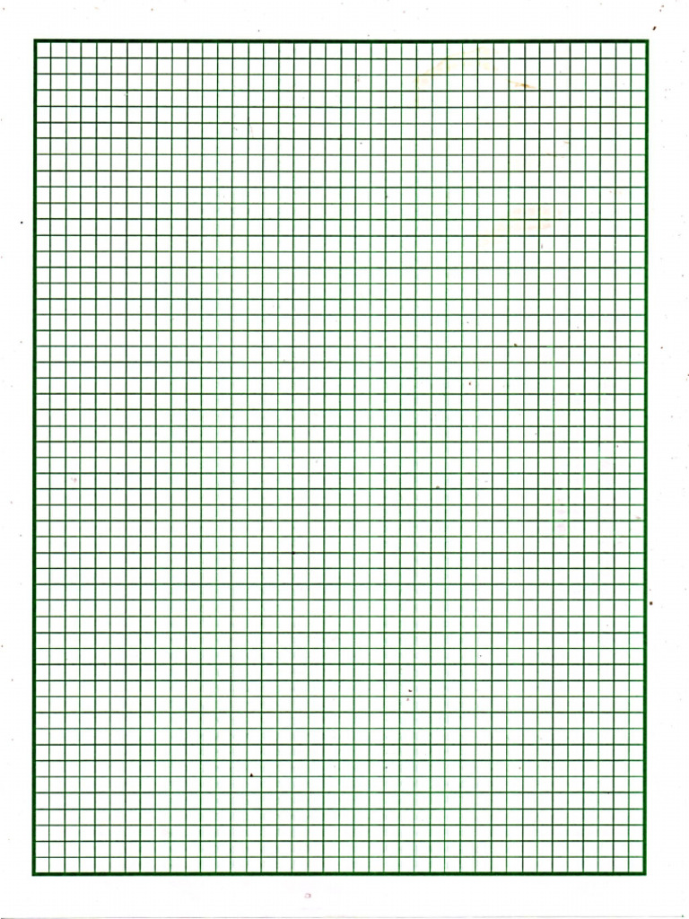 Graphing Paper Short | PDF