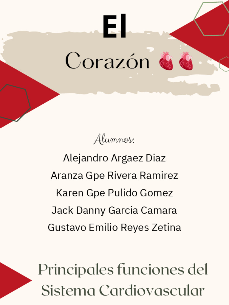 Corazón, Pericardio y Grandes Vasos | PDF | Corazón | Artería