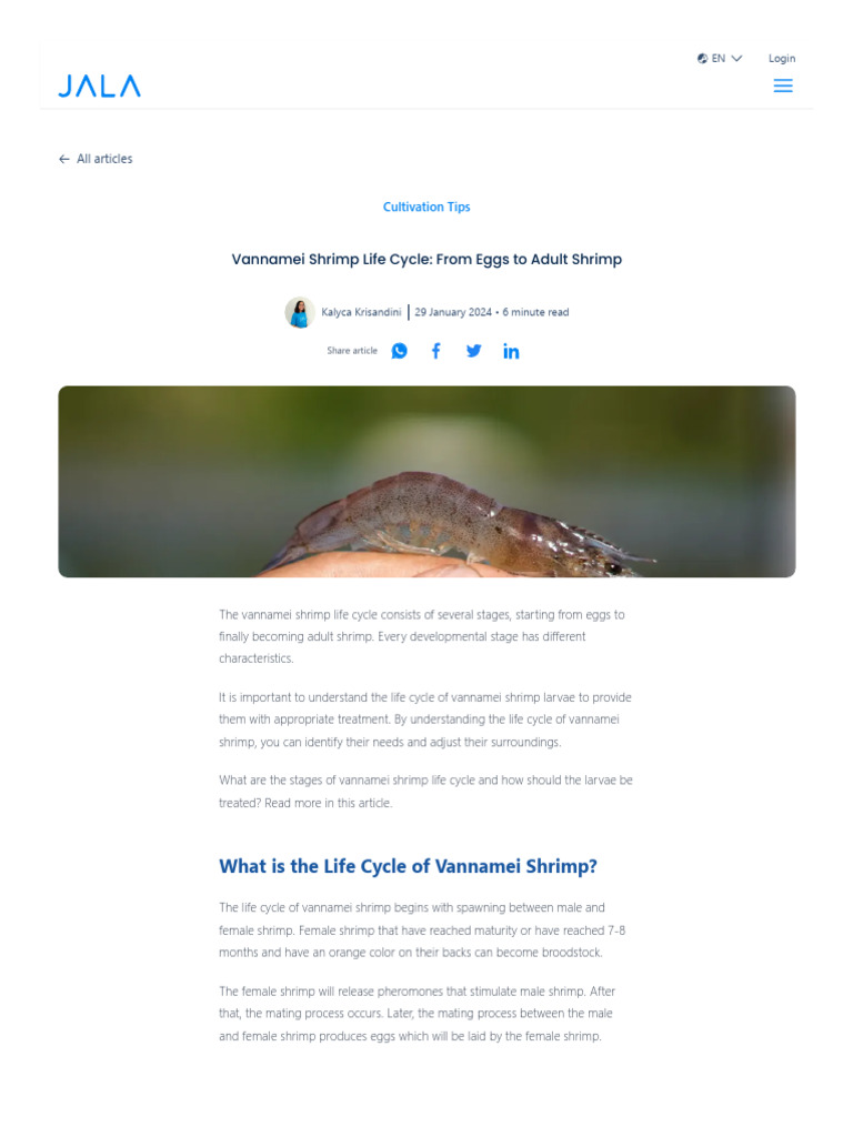 Vannamei Shrimp Life Cycle JALA | PDF | Egg