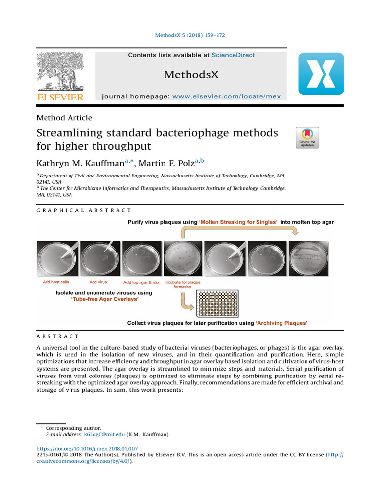 Phage Purification | PDF | Bacteriophage | Virus