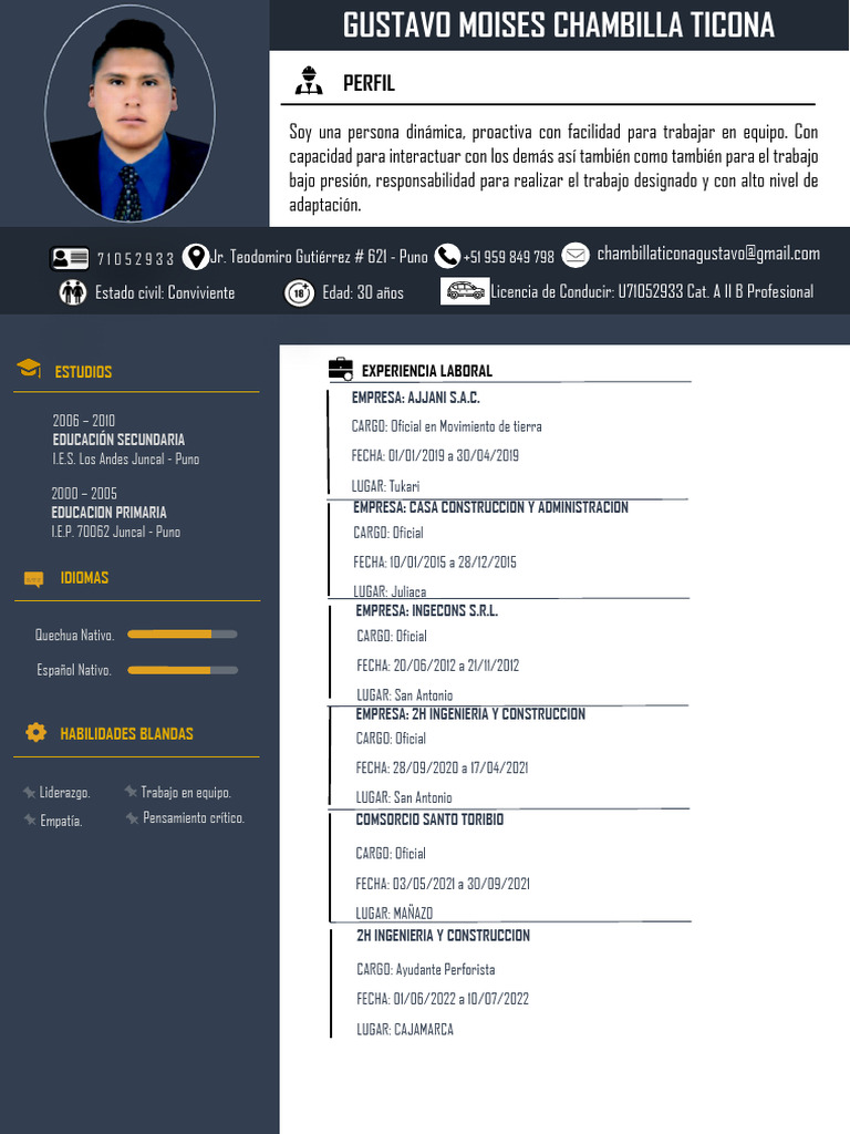 CV Gustavo Chambilla Ticona | PDF