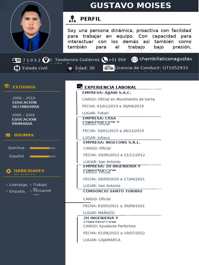 CV Gustavo Chambilla Ticona | PDF