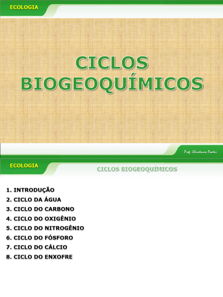 Ciclos Biogeoquimicos EM 2021 20240610-104239 | PDF | Nitrogênio | Organismos