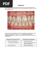 Tipos de Forceps y Elevadores | PDF | Odontología | Boca