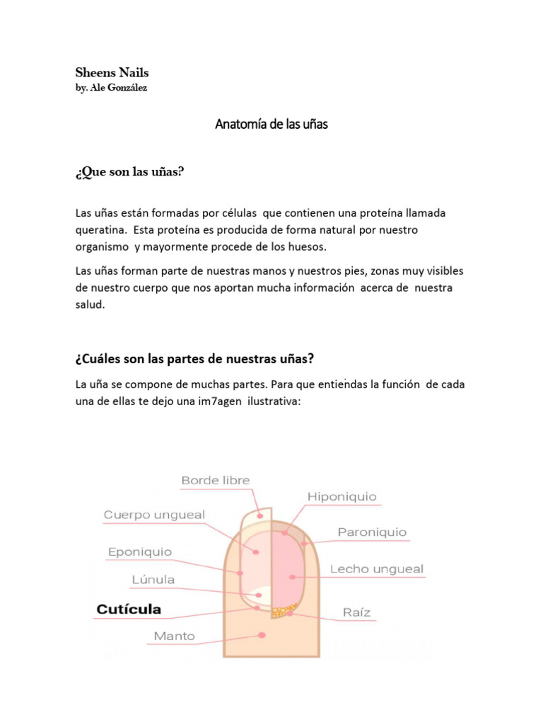 Manual Curso Bã¡sico | PDF | Clavo (anatomía)