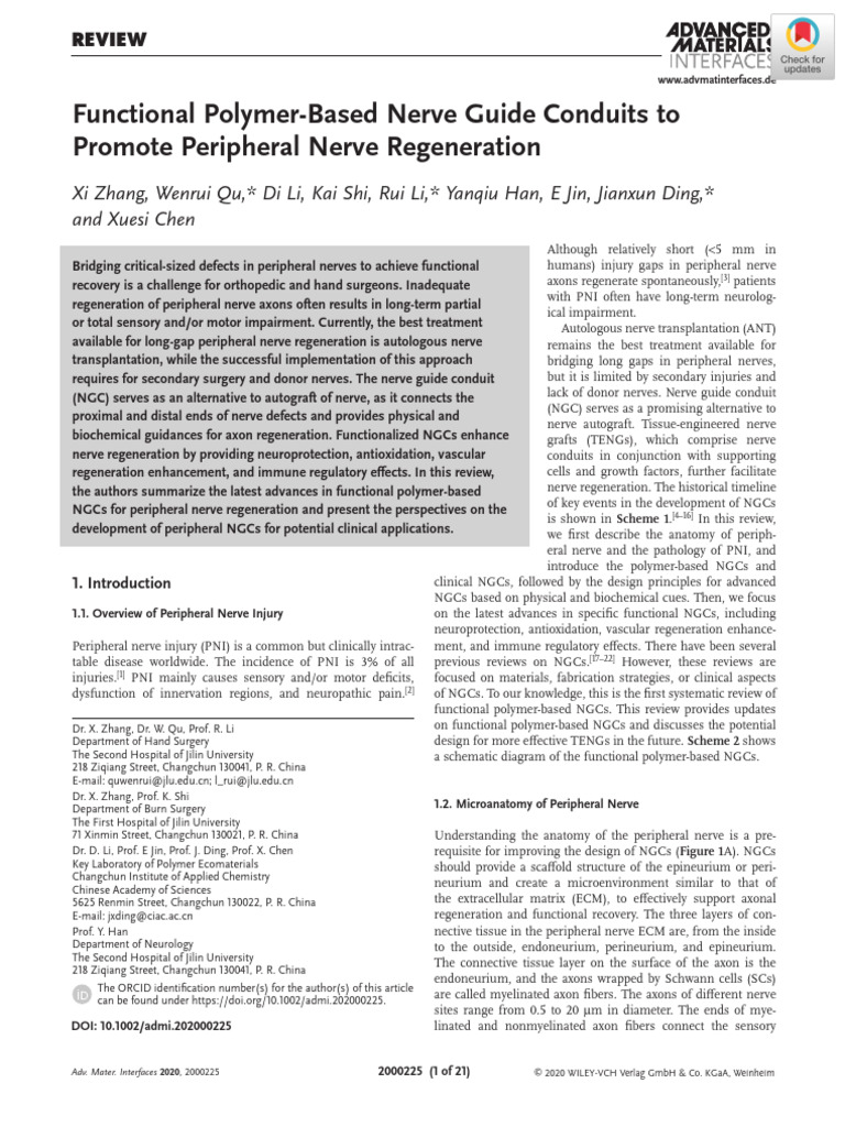 Functional Polymer-Based Nerve Guide Conduits To | PDF | Nerve ...