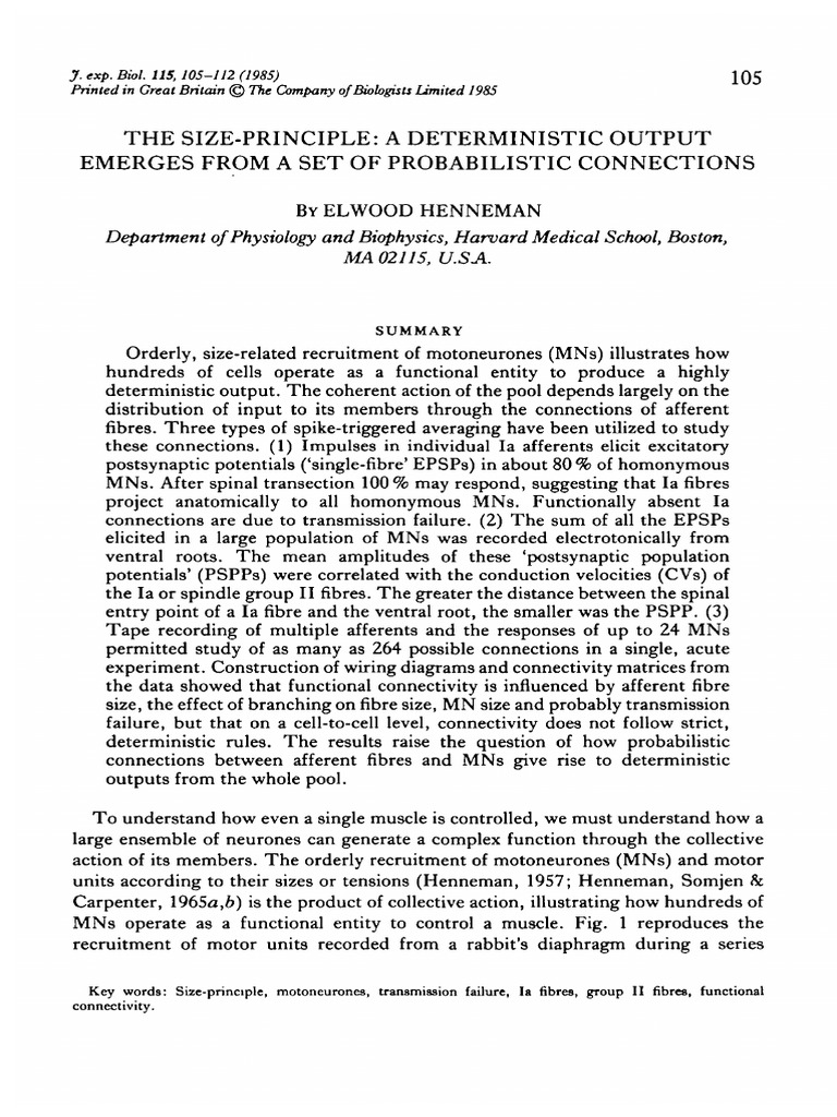 #6 - Princípio - Do - Tamanho - HENNEMAN-1985-The Size Principle - A Deterministic Output | PDF ...