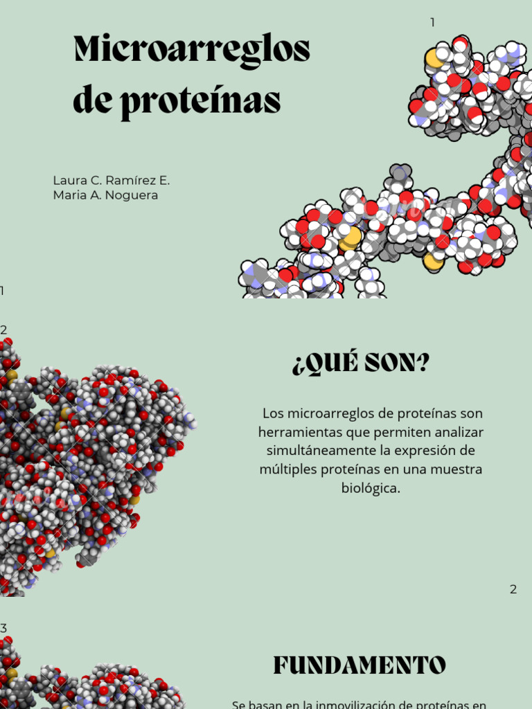 Microarreglos en Tejidos | PDF | Adn Microarray | Proteínas