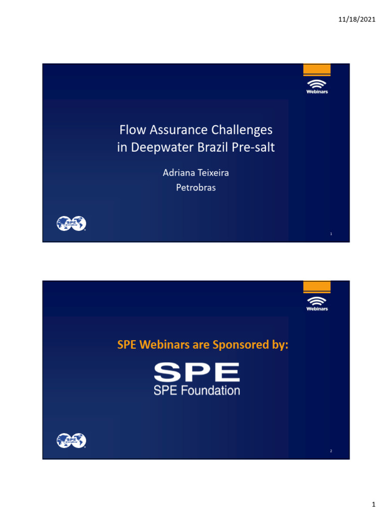 Deepwater Brazil Flow Assurance | PDF | Emulsion | Carbon Dioxide