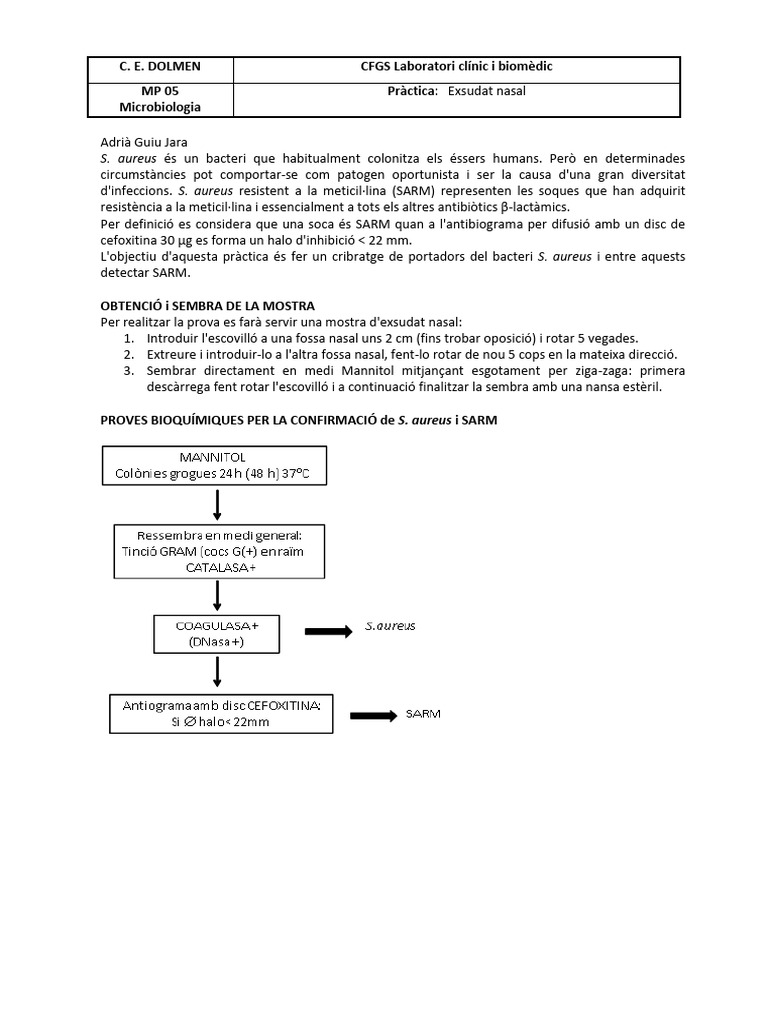 exsudat | PDF