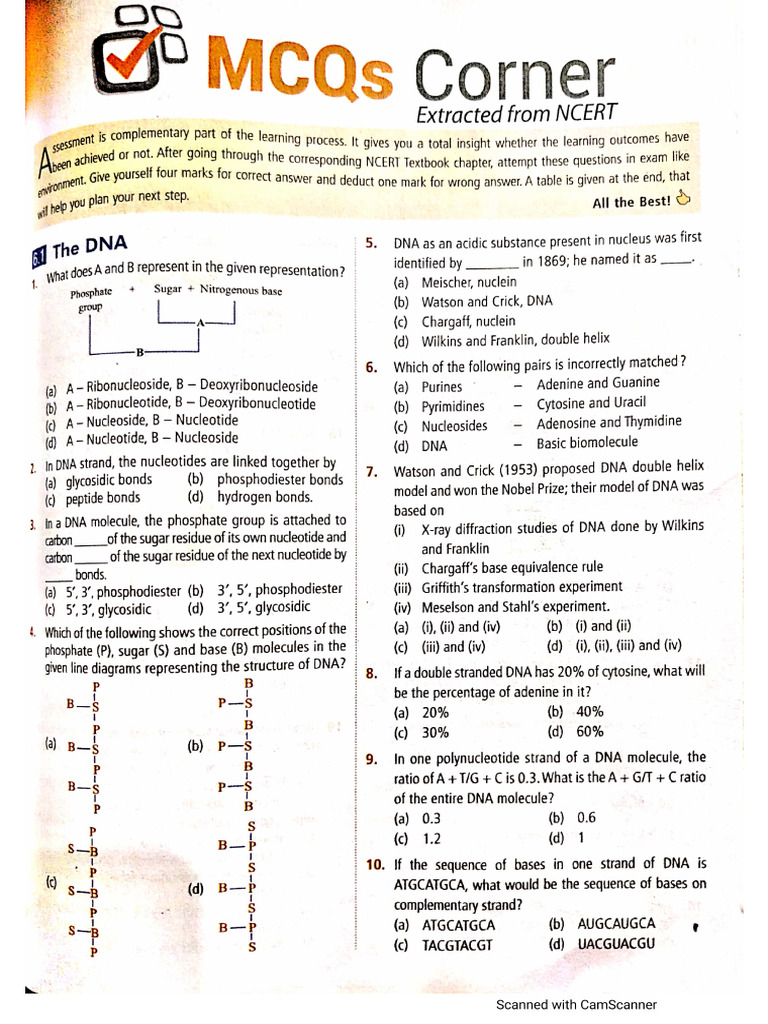 Molecular Basis of Inheritance MTG MCQ NEET | PDF
