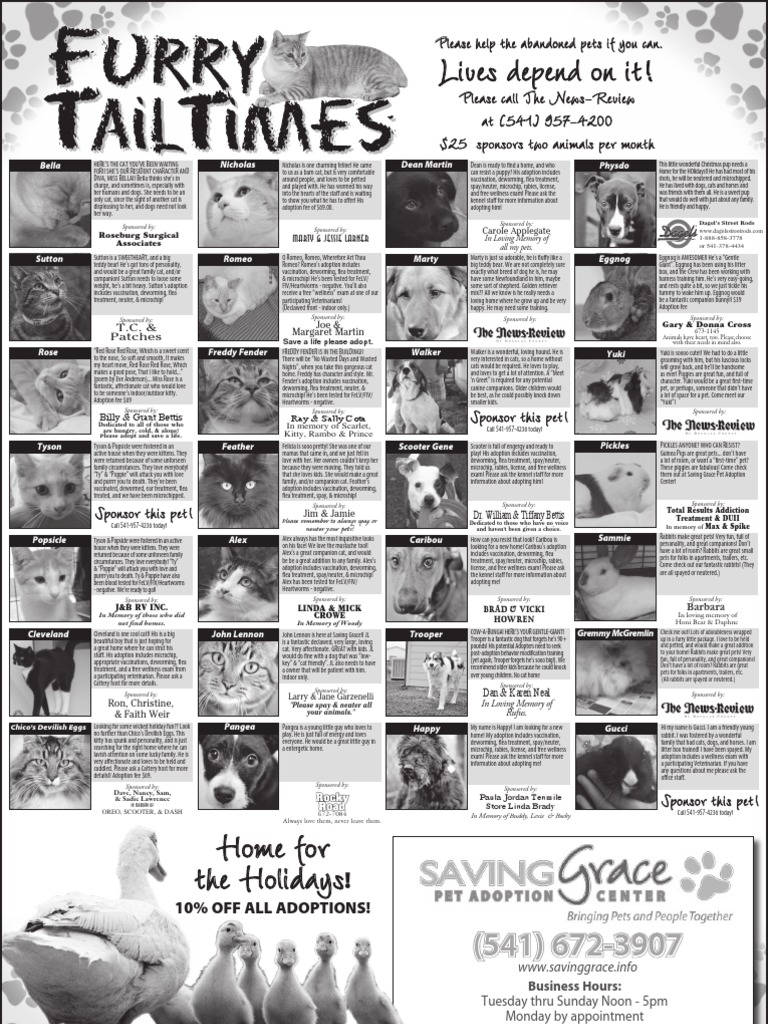 Furry Tail Times - 15th December 2011 | PDF | Cats | Neutering