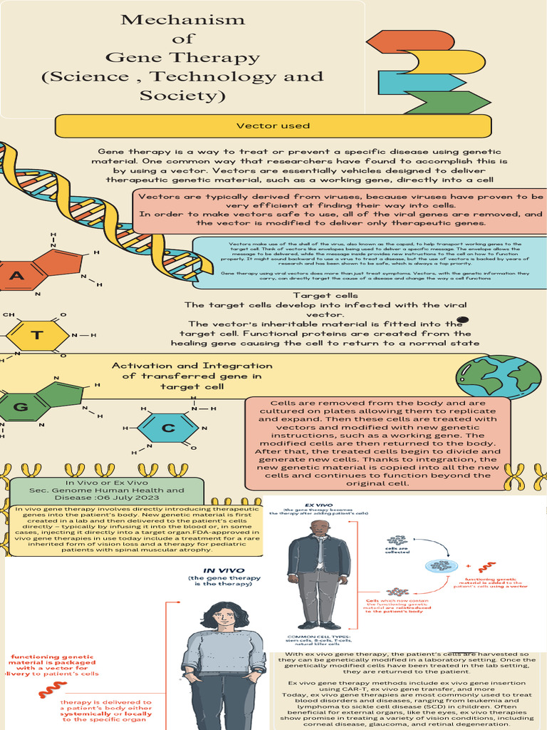 Sts Finals | PDF | Viral Vector | Gene Therapy