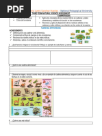 Actividad 3. Ecosistemas, Redes y Cadenas Tróficas | PDF | Red ...