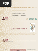 Lineamientos de Vigilancia Entomológica | PDF | Infección | Laboratorios