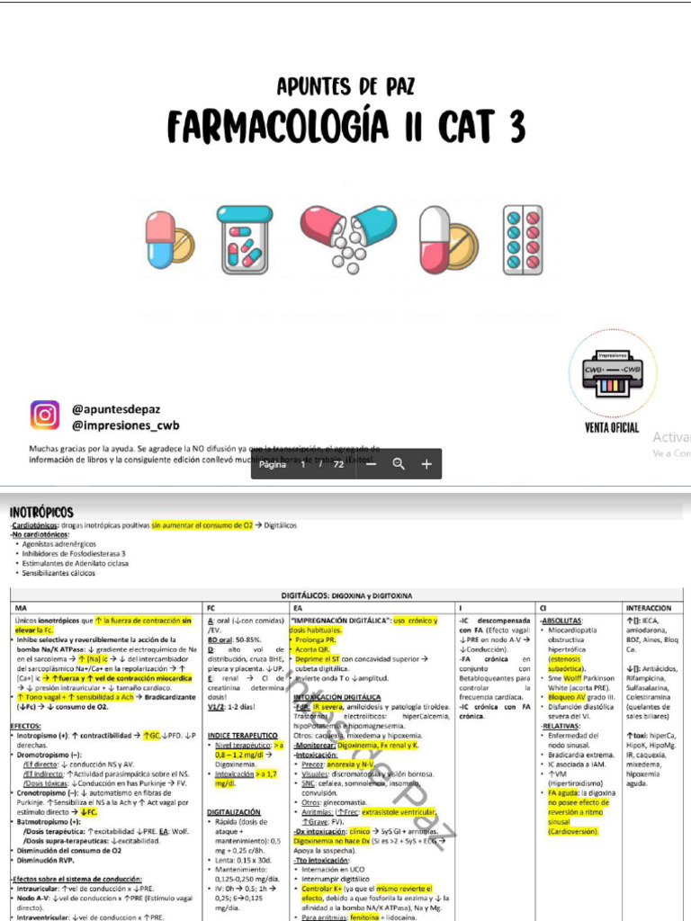 Paz en Orden Fco2 | PDF