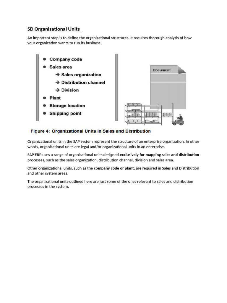 SAP Sales and Distribution Units Explained | PDF | Sales | Data