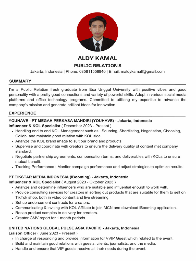 CV - Aldy Kamal 2024 PDF | PDF