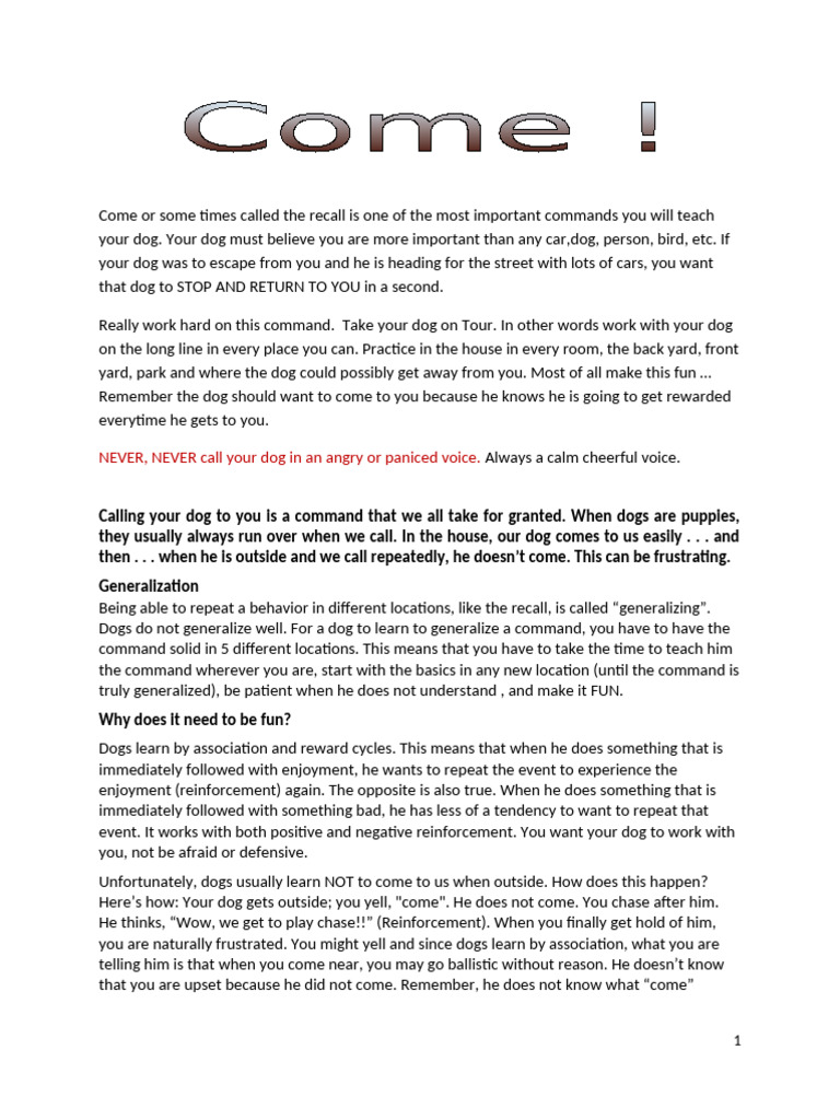 Come Is One of The Most Important Commands You Will Teach Your Dog ...