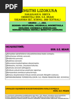 Ngenxa Yesithembiso Study Guide | PDF | Language Arts & Discipline