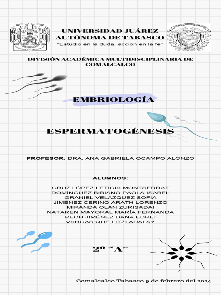 Espermatogénesis y Alteraciones Seminales | PDF | Semen | Anatomia animal