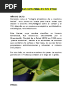 Informe 100 Plantas Medicinales Selva Peruana | PDF