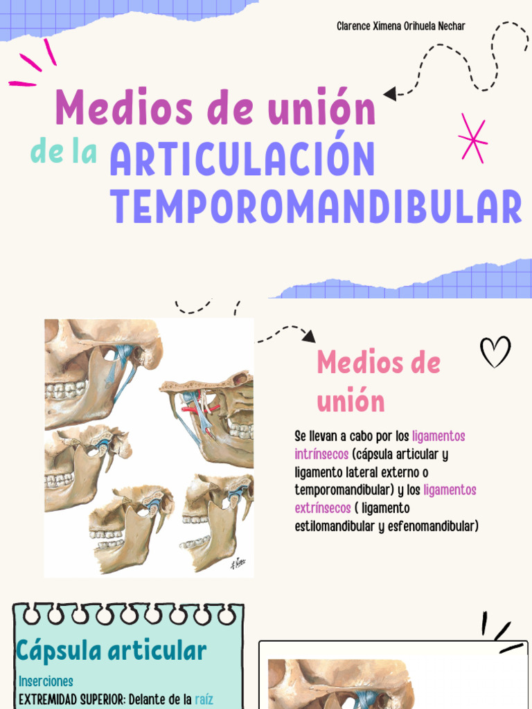 Medios De Unión Atm 20240323 214102 0000 Pdf Articulación